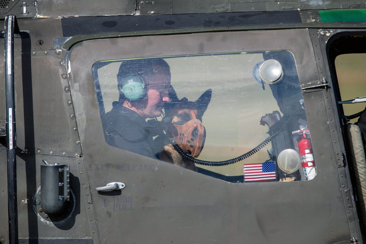 Gallery - National Narcotic Detector Dog Association