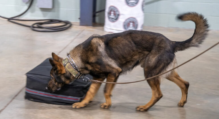 Events - National Narcotic Detector Dog Association