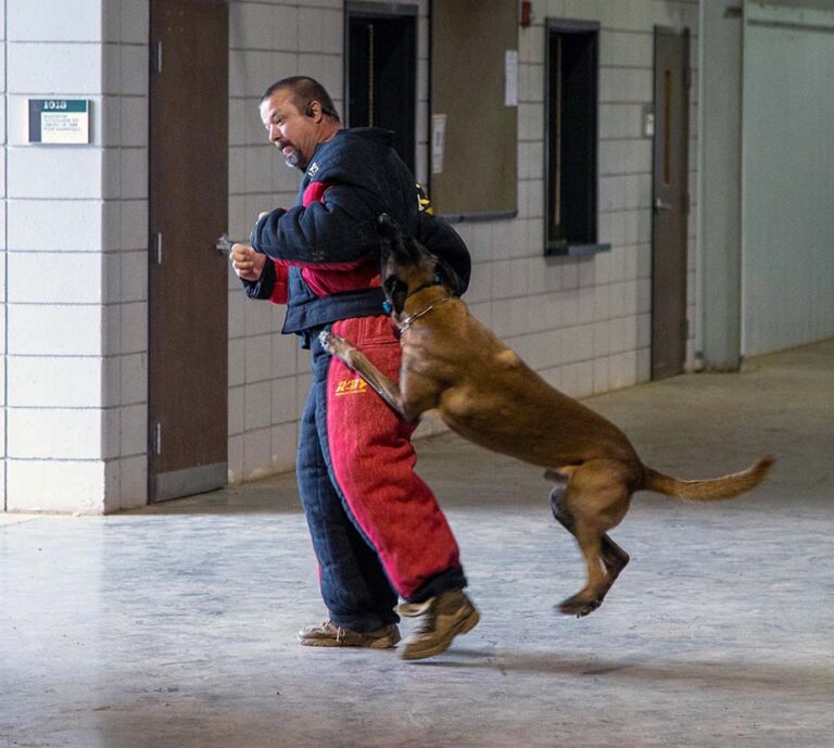 Welcome - National Narcotic Detector Dog Association