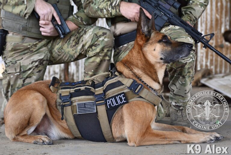 Upcoming Events – National Narcotic Detector Dog Association