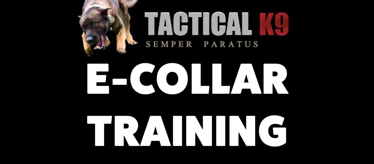 K-9 TACTICS (E-COLLAR) TRAINING - National Narcotic Detector Dog ...
