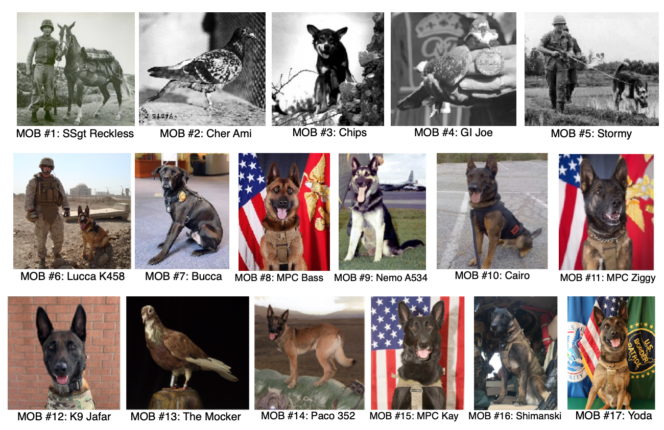 Welcome - National Narcotic Detector Dog Association